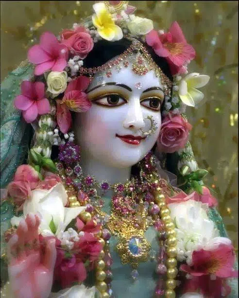 50 Beautiful Radha Rani Images, Photos, Pics in HD – Your Astrology Guru